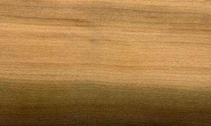 Know Your Wood: Poplar | SpecialtyLumberSolutions.com